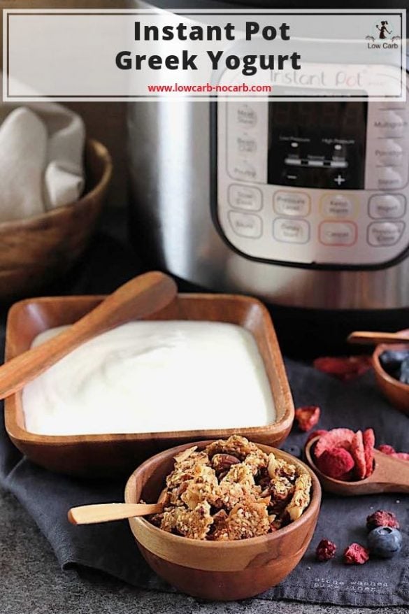 Homemade Low Carb Instant Pot Yogurt Recipe