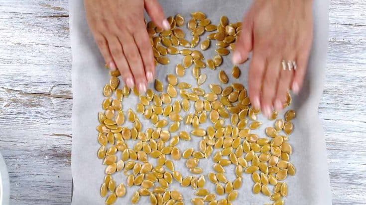 Oven Baked Pumpkin Seeds or Roasted Pepitas - Low Carb No Carb