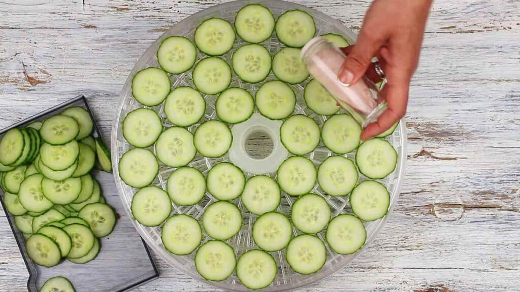 Cucumber Chips Recipe - Low Carb No Carb