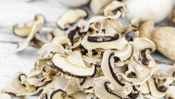 Homemade Mushroom Powder Seasoning - Low Carb No Carb