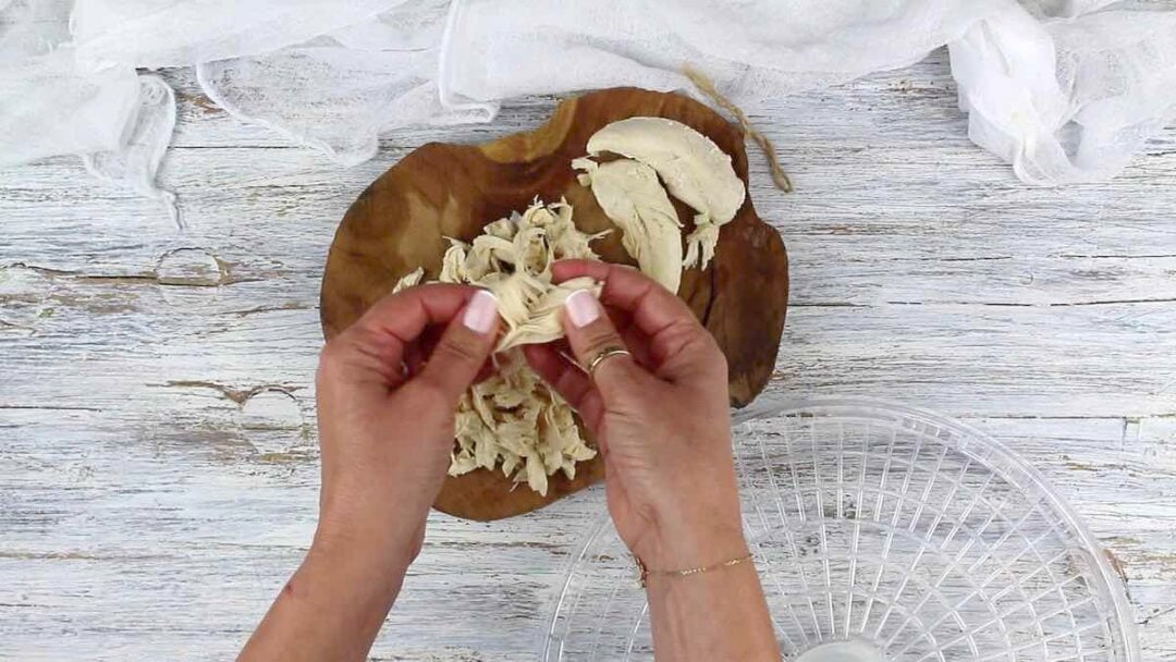 Homemade Dehydrated Chicken - Low Carb No Carb