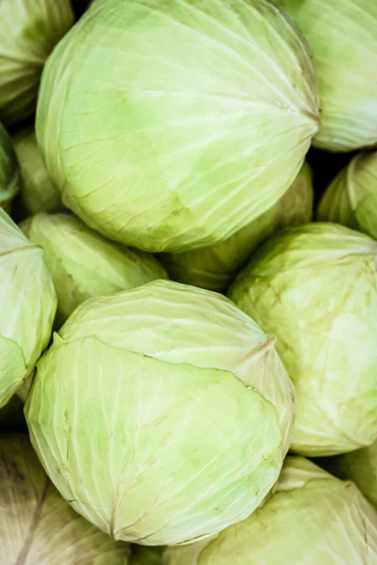 Can You Freeze Cabbage? - Low Carb No Carb