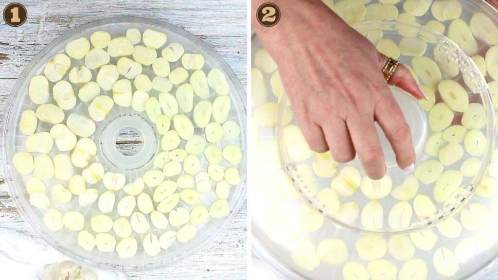Drying Garlic From Your Harvest - Low Carb No Carb