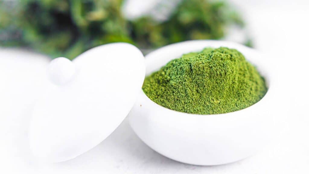 How To Make Stevia Powder Recipe - Low Carb No Carb