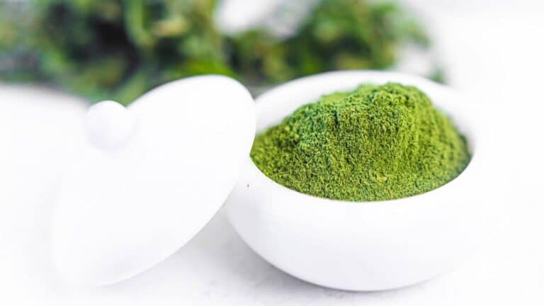How To Make Stevia Powder Recipe - Low Carb No Carb