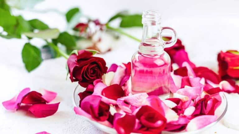 How To Make Rose Water - Low Carb No Carb