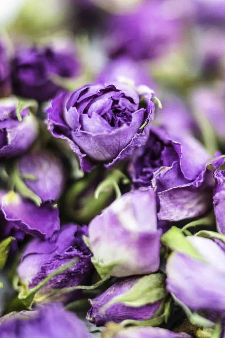 Rose Powder Recipe - Low Carb No Carb